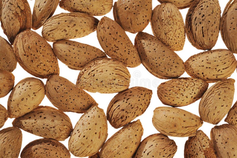 Amande image stock. Image du fond, entier, blanc, santé - 14239701
