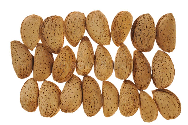 Amande image stock. Image du fond, entier, blanc, santé - 14239701