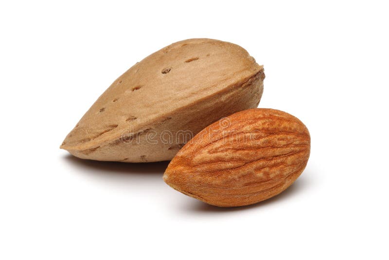 Deux amandes photo stock. Image du criqué, support, complètement - 28143416