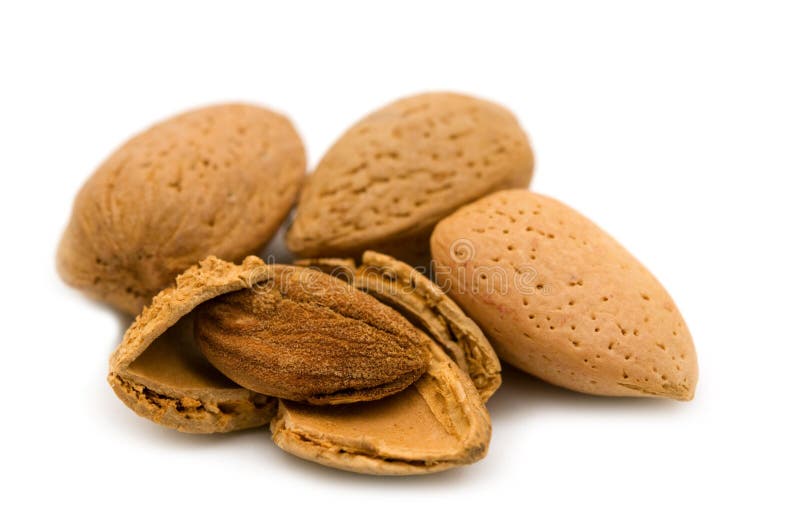Amande image stock. Image du amandes, noix, centrale - 63914053