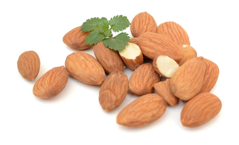 Amandel stock afbeelding. Image of proteïne, schelp - 113697313