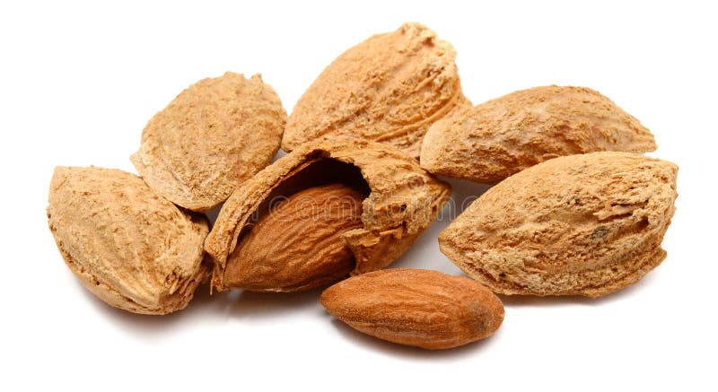 Amandel stock afbeelding. Image of proteïne, schelp - 113697313