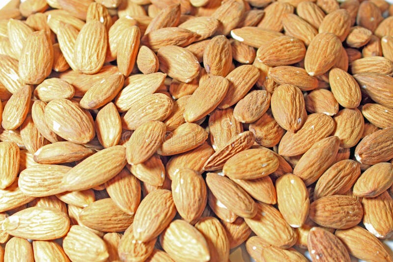 Amandel stock afbeelding. Image of boom, gezondheid, droog - 18716031