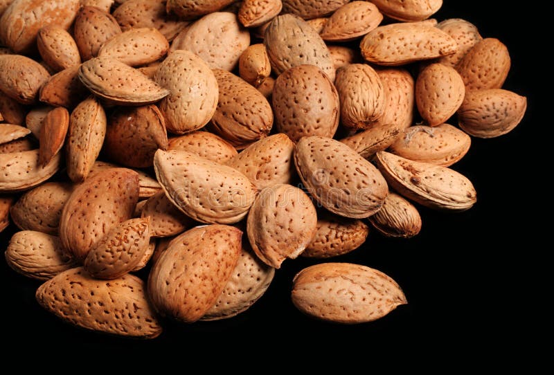 Amandel stock foto. Image of geïsoleerd, amandel, noot - 4326566