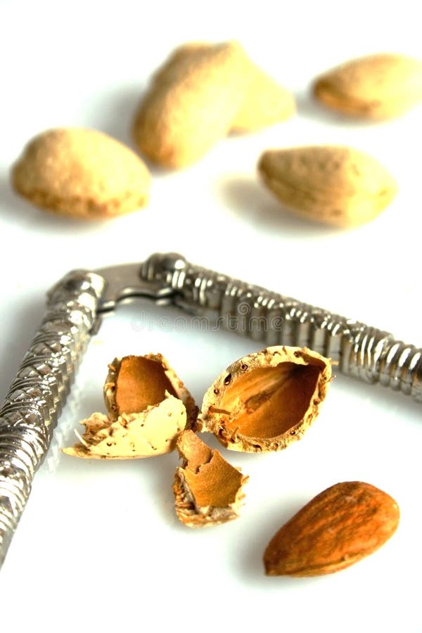 Amandel stock foto. Image of voedsel, nuttig, levensmiddel - 5800940