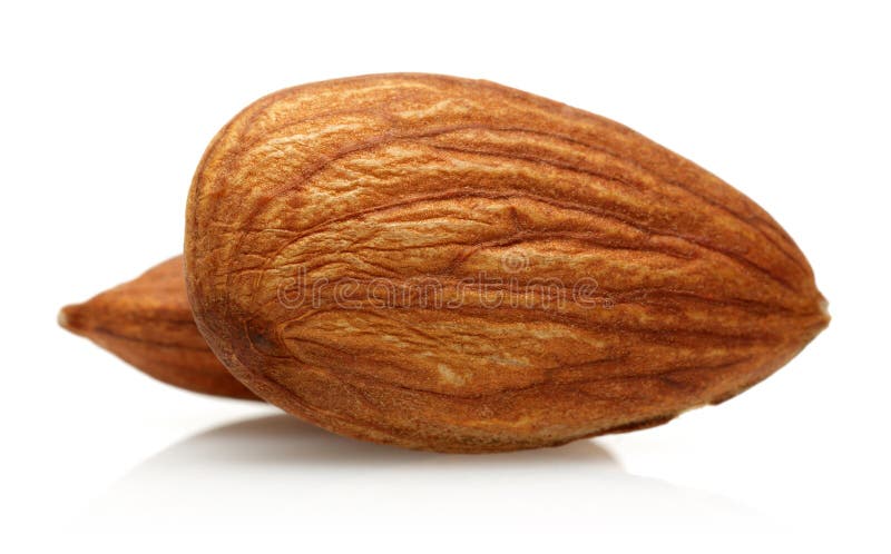 Amandel stock afbeelding. Image of kleur, ates, achtergrond - 22541017