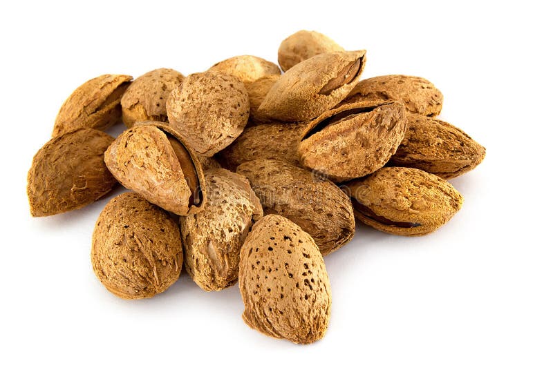 Amandelen stock afbeelding. Image of vruchten, vrucht - 31851547