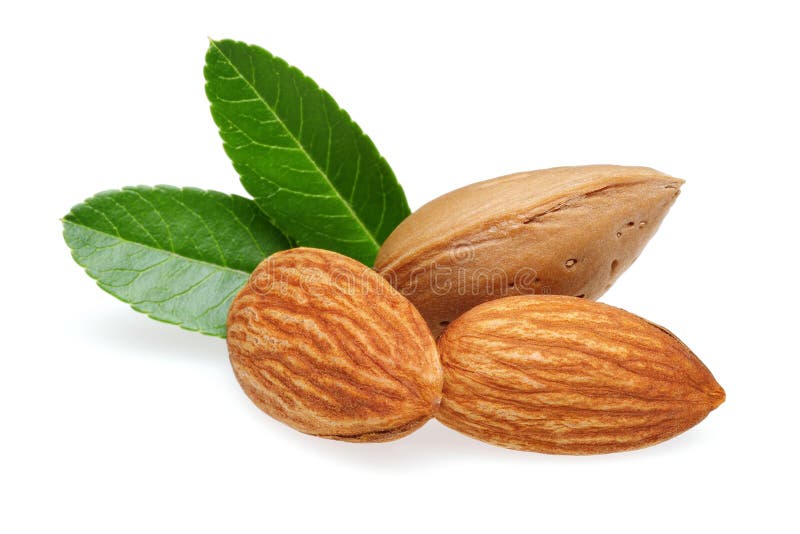 Groupe de noix d'amande. photo stock. Image du savoureux - 19299528
