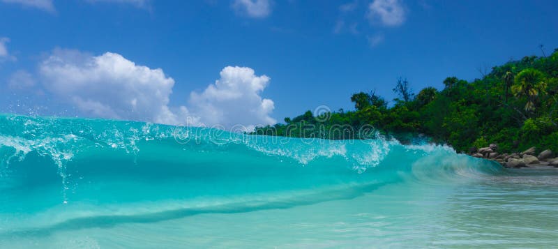 Łamanie Fala Ocean Indyjski Zdjęcie Stock - Obraz złożonej z tło, palmy ...