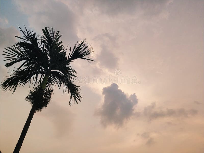 Cloudy Sky with Lonely Tree Stock Photo - Image of ochena, akash: 174292354