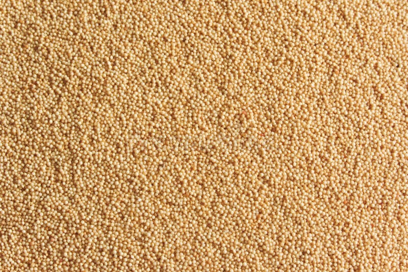 Amaranth stock image. Image of middle, grain, food, ingredient - 51153629