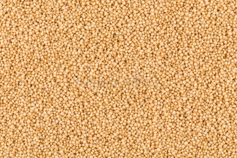 Amaranth grain closeup stock photo. Image of food, fresh - 269192104