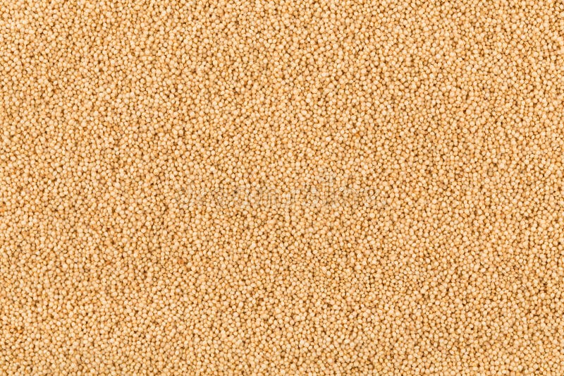 Amaranth grain closeup stock image. Image of uncooked - 270772043