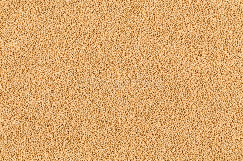 Amaranth grain closeup stock image. Image of ingredient - 271288975
