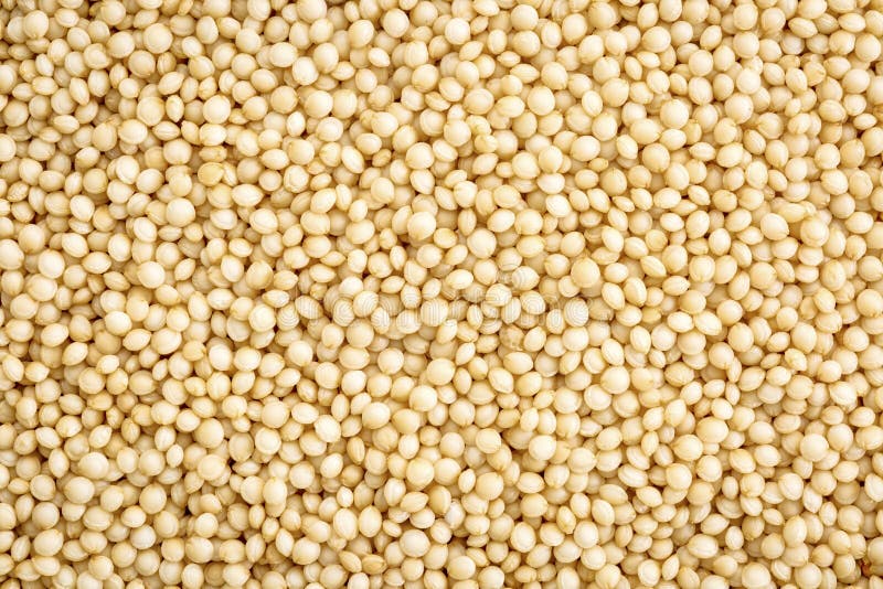 Amaranth Grain Life Size Macro Stock Photos - Free & Royalty-Free Stock ...