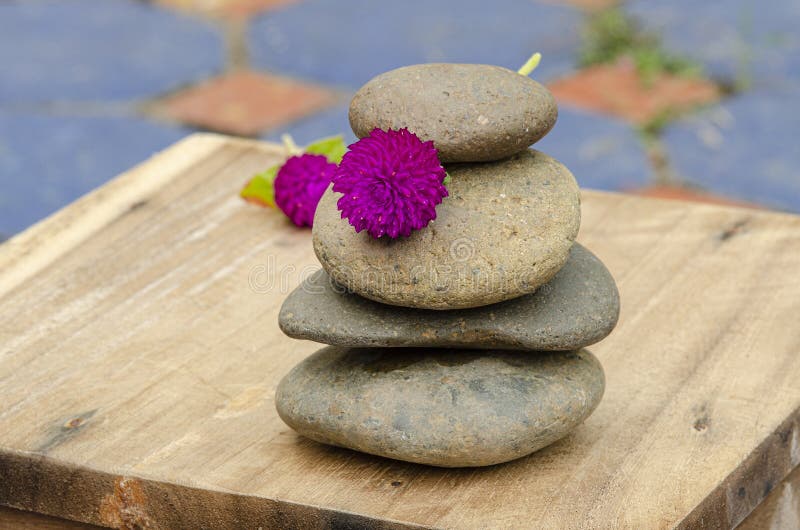 Amaranth on the spa stone stock image. Image of soothe - 248893451