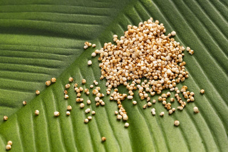 Pile Amaranth Seed Pops Amaranthus Stock Photos - Free & Royalty-Free ...