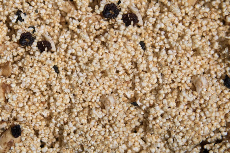 Legado Visual (Legadovisual) - Photographer profile