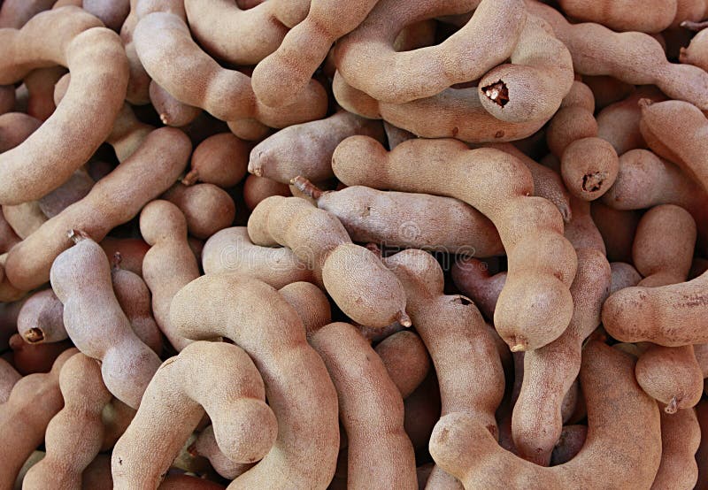 Amargo imagen de archivo. Imagen de color, pulpa, primer - 34143151