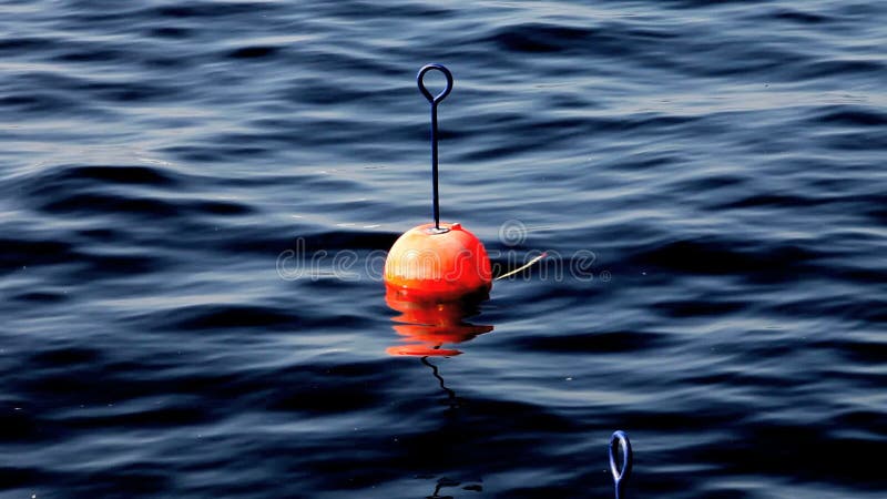 Amarração da boia filme. Vídeo de esférico, exterior - 38082669