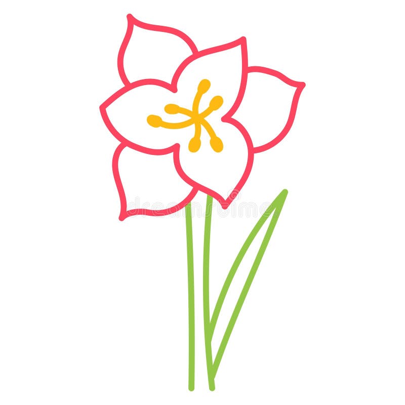 Amaryllis. Flor De Perro Con Tallo Y Hoja. Ilustración del Vector ...