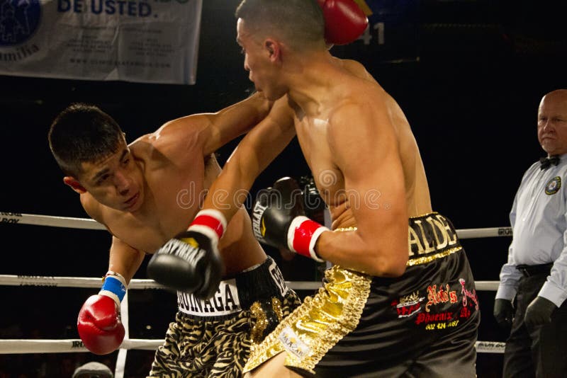 Amateur Boxing editorial photography. Image of headgear - 28021612