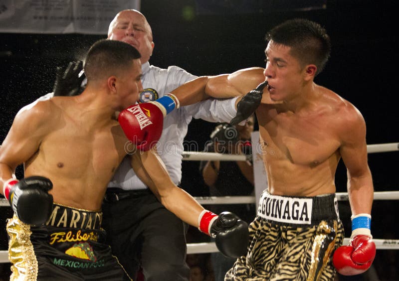 Amateur Boxing editorial photography. Image of headgear - 28021612