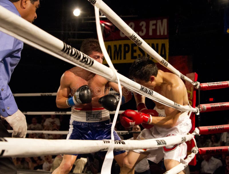 Professional And Amateur Boxing Editorial Stock Photo - Image of ...