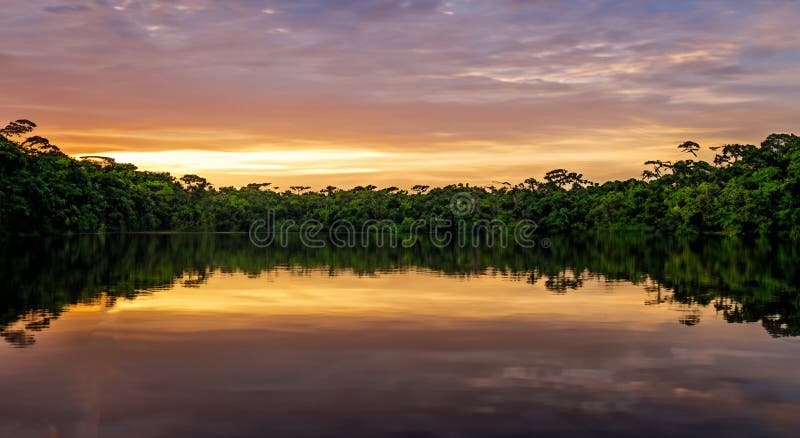 Amazing Amazon River with a Beautiful Sunset in the Background in High ...