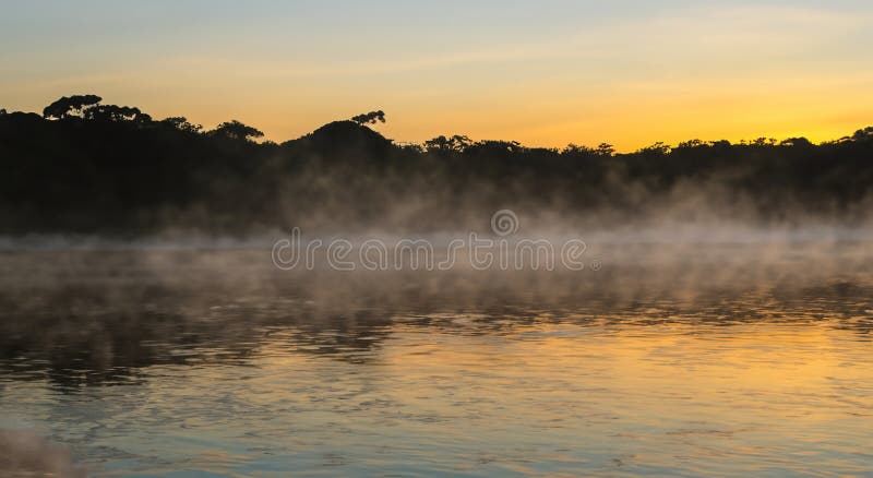 Amazing Amazon River with Mist in a Sunrise Stock Image - Image of ...