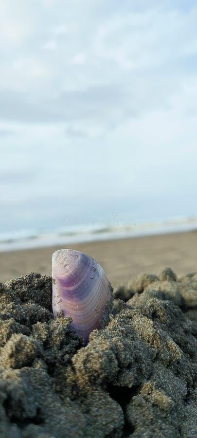 Amazing Beach in South Java Indonesia Stock Photo - Image of beach ...