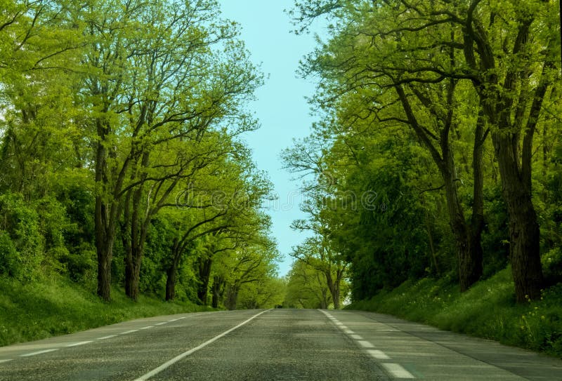 Amazing Beautiful Road in Spring Stock Photo - Image of springtime ...
