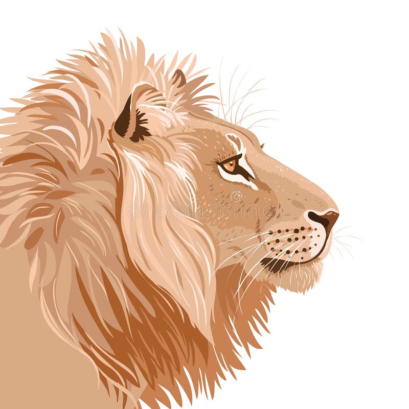 Muzzle lion stock vector. Illustration of strength, vector - 275056482