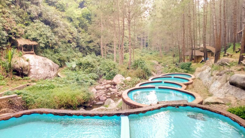 Amazing Blue Pool in the Forest Stock Image - Image of place, pool ...