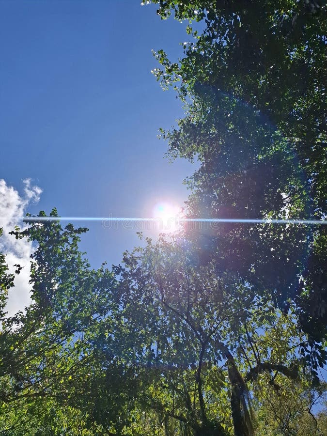 Amazing Blue Sky View Showing a Bright Sun Stock Image - Image of ...