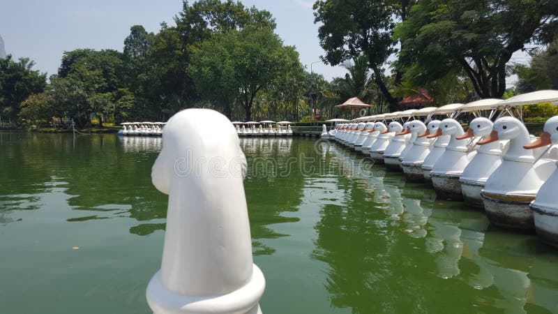 Amazing Boat Ride in the River Stock Image - Image of canal, pond ...
