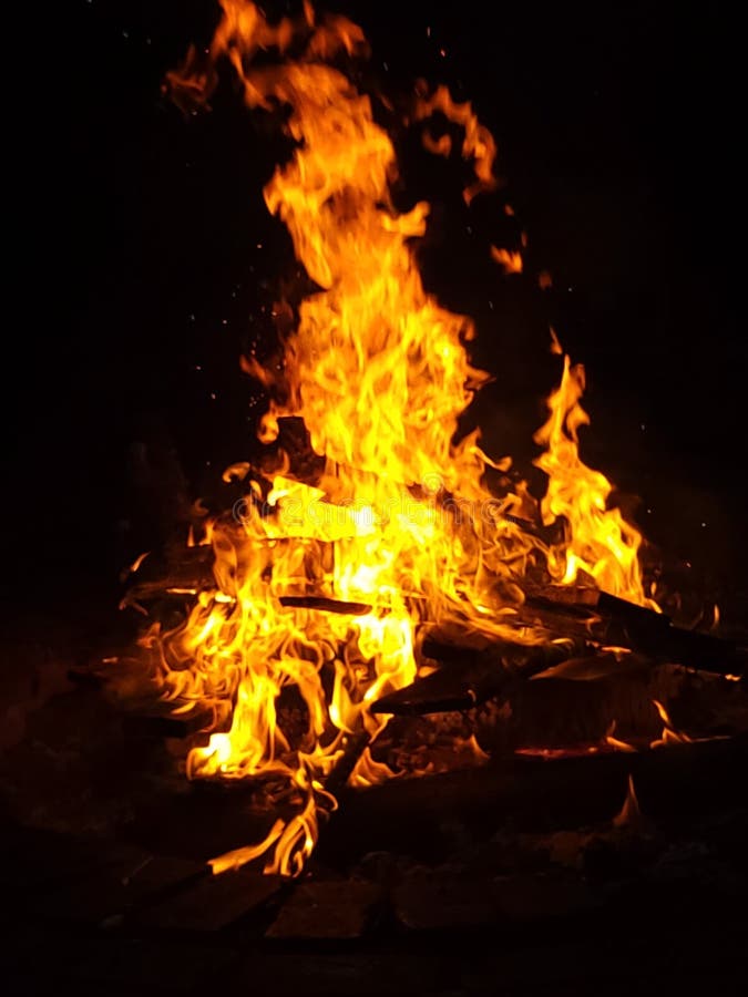 Amazing bonfire flames stock photo. Image of orange - 257462086