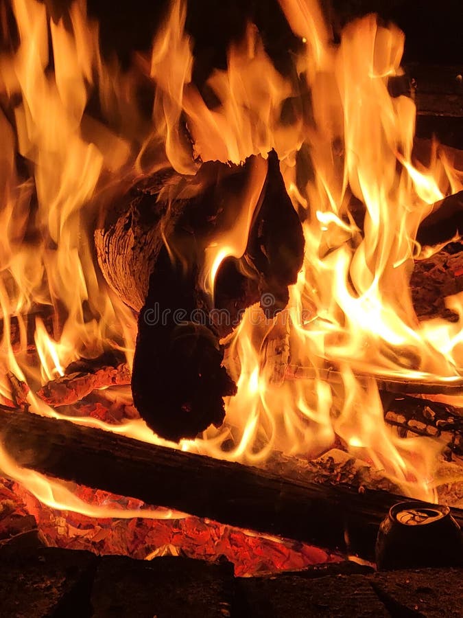 Amazing bonfire flames stock photo. Image of flames - 257462144