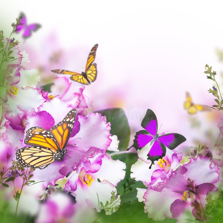 Amazing Bouquet of Spring Violets Stock Photo - Image of bright, green ...