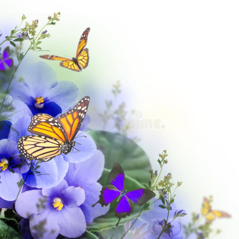 Amazing Bouquet of Spring Violets Stock Photo - Image of viola, spring ...