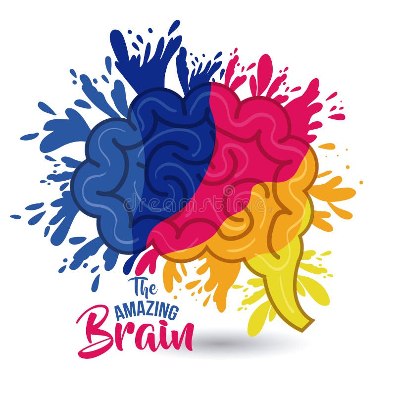 The amazing brain stock vector. Illustration of icon - 76491727