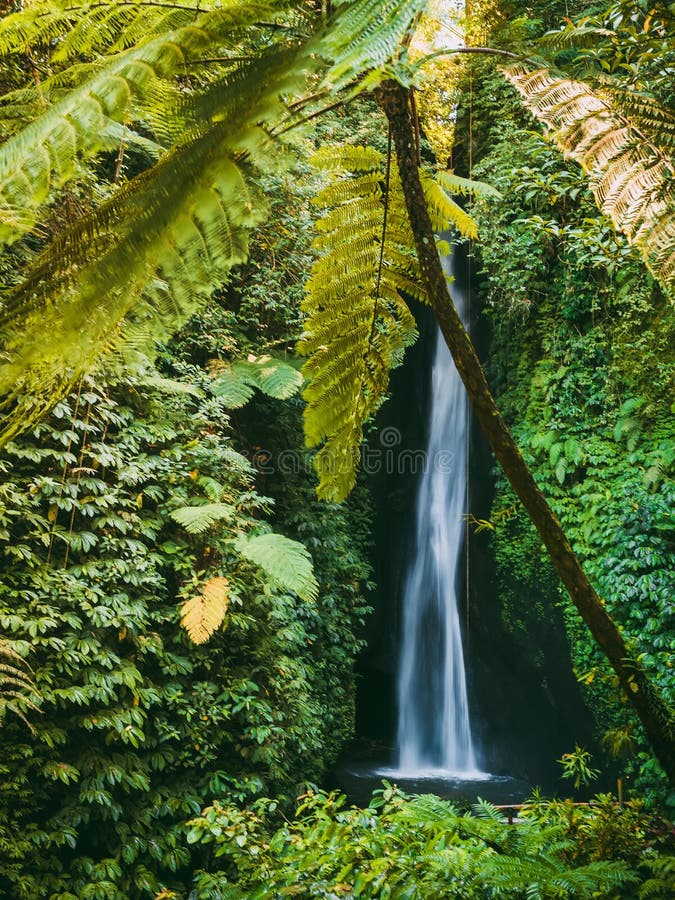 Amazing Cascade Waterfall in a Tropical Jungle at Bali Stock Photo ...