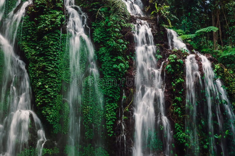 Amazing Cascade Waterfall in a Tropical Jungle at Bali Stock Image ...