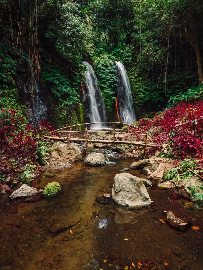 Amazing Cascade Waterfall In A Tropical Jungle At Bali Stock Photo ...