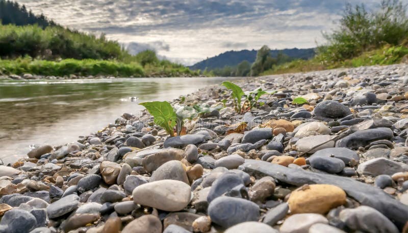 Amazing and Colorful River Stones Texture for Background Stock ...