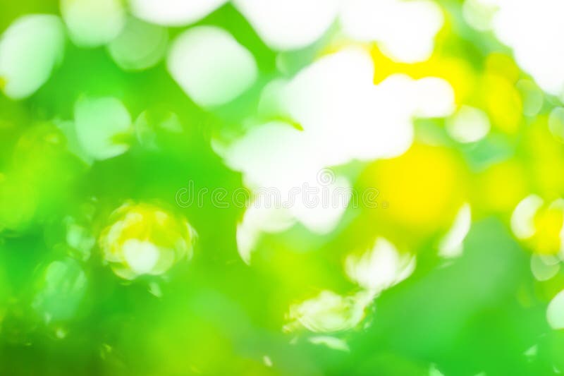 Amazing Colourful Green Bokeh Blur Soft Focus Background Stock Photo ...