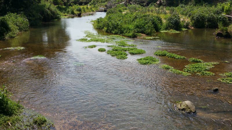 Creek Water stock photo. Image of amazing, water, creek - 139684792