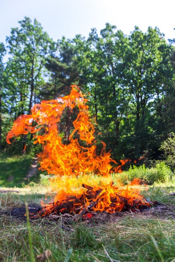 Amazing dance of fire stock photo. Image of flaming, fiery - 96085604