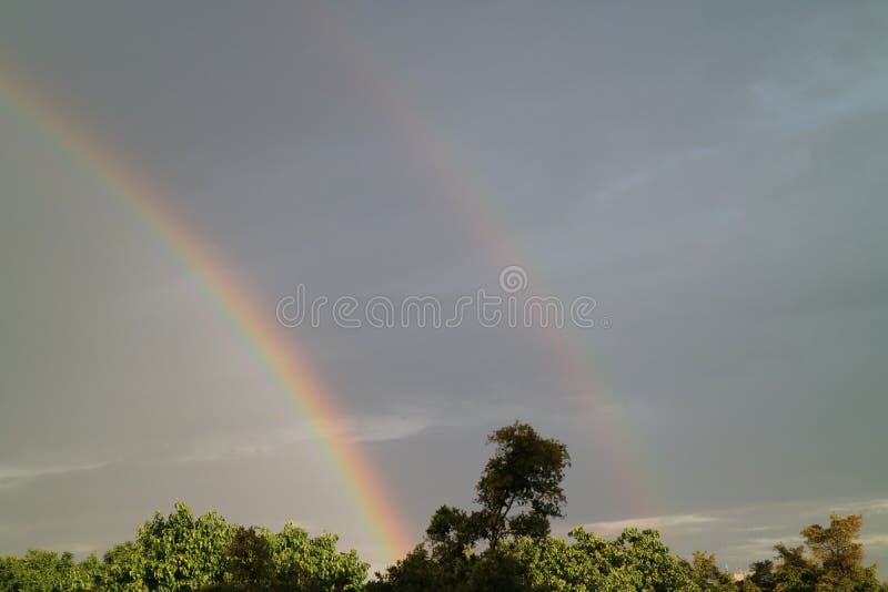Amazing Double Rainbow Over Tree Tops in the Evening Sunlight Stock ...