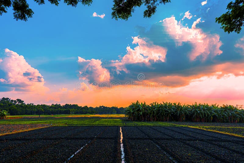 Amazing Dramatic Clouds Over the Field. Stock Image - Image of season ...